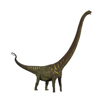 'Mamenchisaurus, a Plant-Eating Sauropod Dinosaur' Prints | AllPosters.com