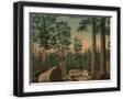 Mammoth trees (Sequoia gigantea), California (Calaveras County) Photo ...