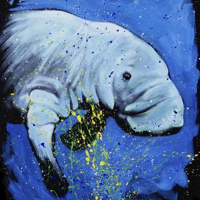 'Manatee' Posters | AllPosters.com