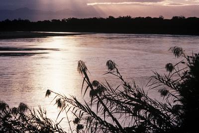 'Mandrare River, Berenty, Madagascar, East Africa, Africa, 1980S (Photo ...
