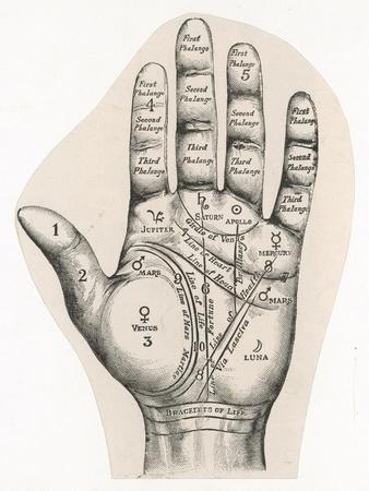 'Map of the Hand' Posters | AllPosters.com