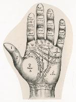 'Map of the Hand' Posters | AllPosters.com