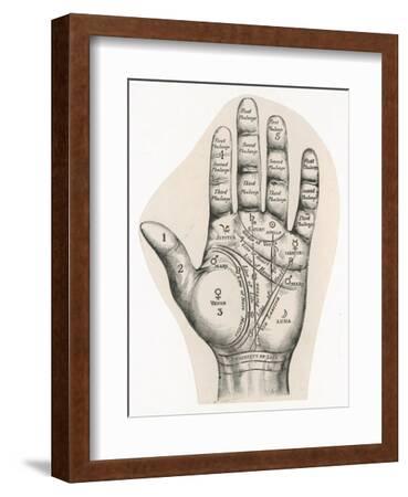 'Map of the Hand' Posters | AllPosters.com