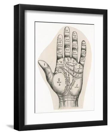'Map of the Hand' Posters | AllPosters.com