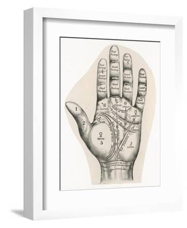 'Map of the Hand' Posters | AllPosters.com