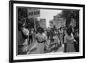 'March on Washington, African Americans with Civil Rights Signs, Aug ...