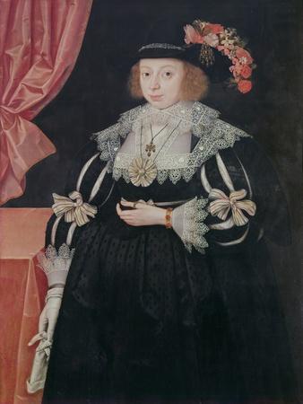 Anne Hale, Mrs Hoskins (C.1609-51), 1629 (Panel) Giclee Print - Marcus ...
