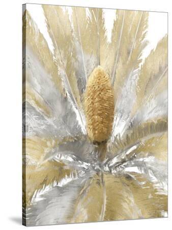 'Cycad - Plume' Stretched Canvas Print - Mark Chandon | AllPosters.com