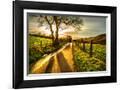 'Golden Memories' Photographic Print - Mark Gemmell | AllPosters.com