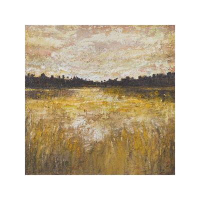 'Marsh' Giclee Print - Amy Donaldson | AllPosters.com