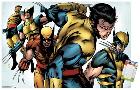 'Marvel Comics Wolverine - Evolution' Prints | AllPosters.com