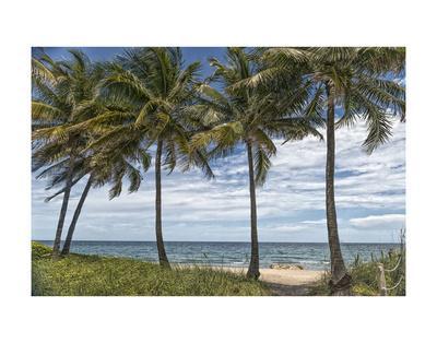 'Seaside Entry' Prints - Mary Lou Johnson | AllPosters.com