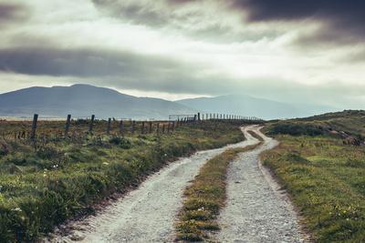 Countryside Ramble Giclee Print - Matt Roseveare | AllPosters.com