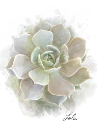 Succulent Lola Print - Matthew Piotrowicz | AllPosters.com