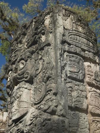 'Mayan Glyphs on the Side of Stela, Copan Archaeological Park, UNESCO ...