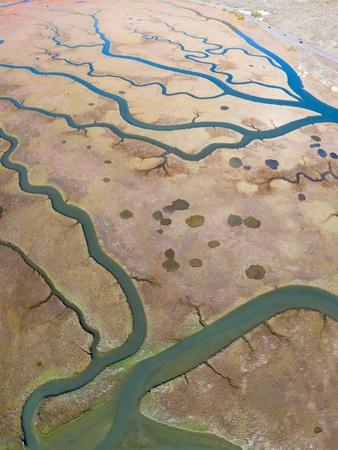 'Meandering channels run through a beautiful estuary in Central ...