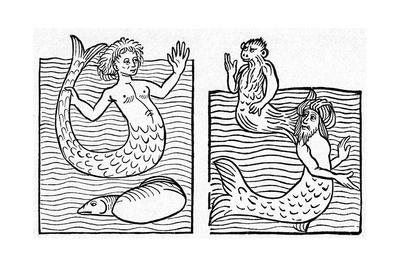 'Medieval Mer-Folk' Giclee Print | AllPosters.com