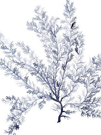 Living Under Sea I - Melissa Wang | AllPosters.com