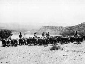 'Members of the Northern Cheyenne Tribe of Montana's Tongue River ...