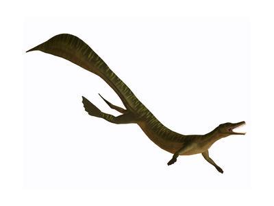 'Mesosaurus, an Aquatic Reptile from the Early Permian Period' Posters ...