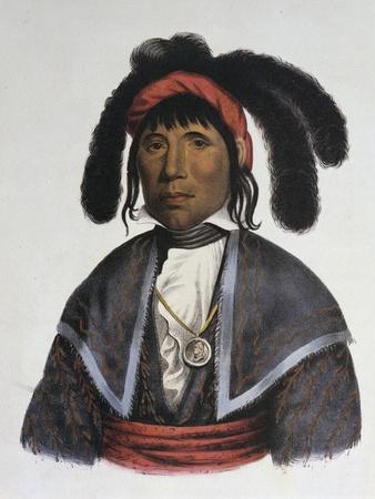 'Micanopy (Seminole Chief)' Giclee Print - Charles Bird King ...