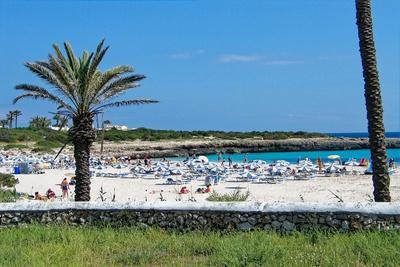 'White Sand Beach with Palm Tree at Menorca Island with Sunbathing ...
