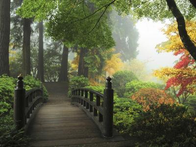 'Moon Bridge in Autumn: Portland Japanese Garden, Portland, Oregon, USA ...