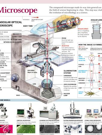 'MICROSCOPE.' Photographic Print | AllPosters.com