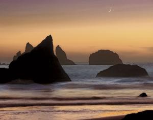 Mike Jones Posters, Prints, Paintings & Wall Art | AllPosters.com