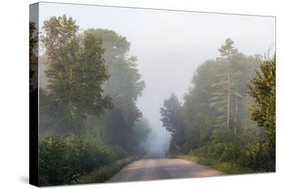 'Faded Path' Stretched Canvas Print - Mike Toy | AllPosters.com