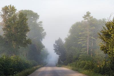 'Faded Path' Giclee Print - Mike Toy | AllPosters.com
