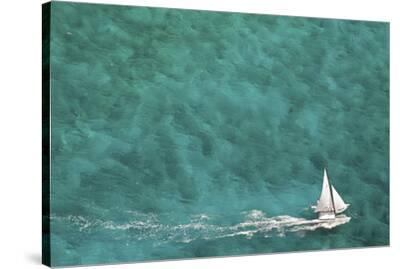 'Hobie Sailing' Stretched Canvas Print - Mike Toy | AllPosters.com