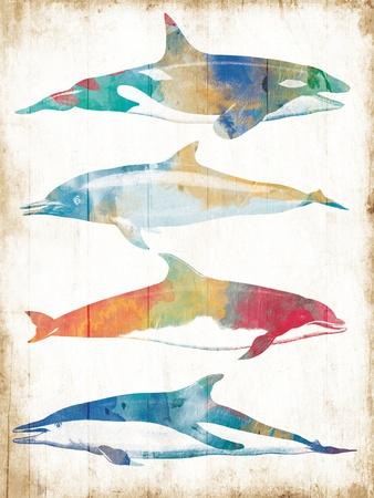 Colorful Sea Life - Milli Villa | AllPosters.com