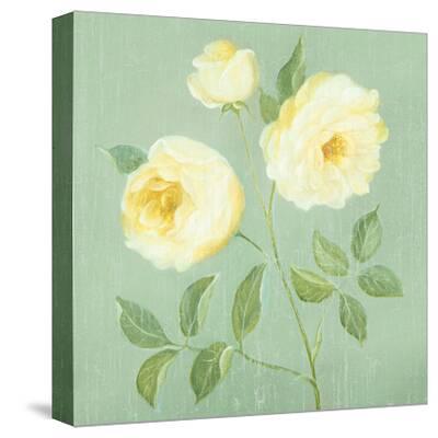 Abundant Rose I Stretched Canvas Print - Mimi Roberts | AllPosters.com