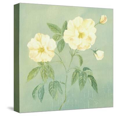 Abundant Rose II Stretched Canvas Print - Mimi Roberts | AllPosters.com