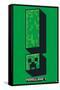 'Minecraft - Creeper Symbol' Stretched Canvas Print | AllPosters.com
