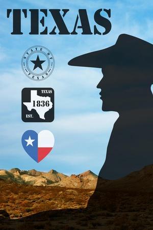 'Poster of Texas' Posters - MishaAbesadze | AllPosters.com