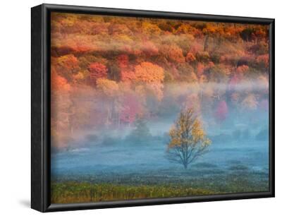 'Misty Valley and Forest in Autumn, Davis, West Virginia, USA ...