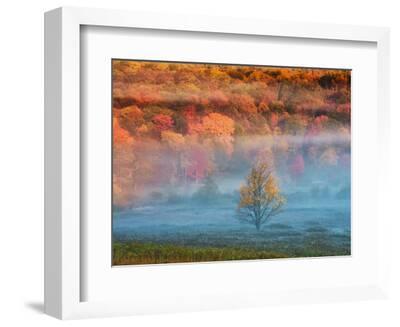 'Misty Valley and Forest in Autumn, Davis, West Virginia, USA ...