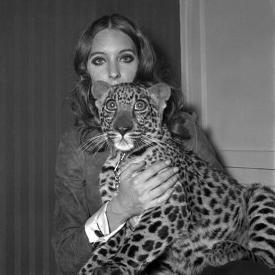 'Model Antonia with Her Panther Tatch, 16 November 1967' Photo ...