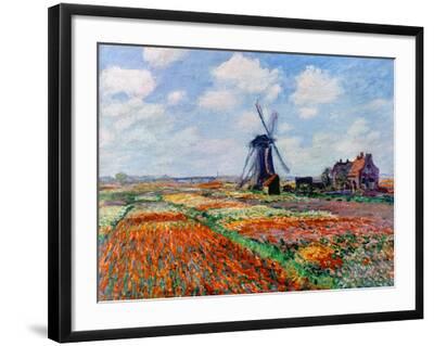 'Monet: Tulip Fields, 1886' Giclee Print - Claude Monet | AllPosters.com