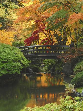 'Moon Bridge in Autumn: Portland Japanese Garden, Portland, Oregon, USA ...