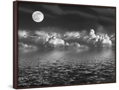 'Moonlit Beauty' Photographic Print - marilyna | AllPosters.com