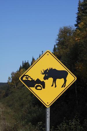 'Moose Warning Traffic Sign' Photographic Print | AllPosters.com