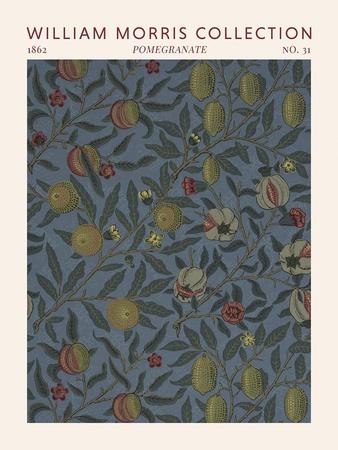 'Morris Collection - Pomegranate' Giclee Print - The Drammis Collection ...