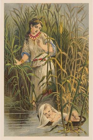 'Moses Found in the Bulrushes' Posters | AllPosters.com