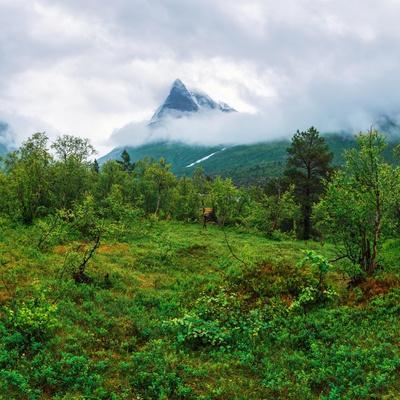 'Mountain peak in fog in Innerdalen' Photo | AllPosters.com