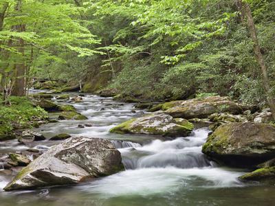 'Mountain Stream, Great Smoky Mountains National Park, North Carolina ...