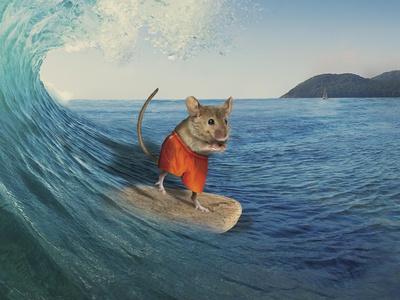 'Mouse Surfing' Giclee Print - J Hovenstine Studios | AllPosters.com