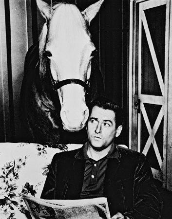 'Mr. Ed' Photo | AllPosters.com